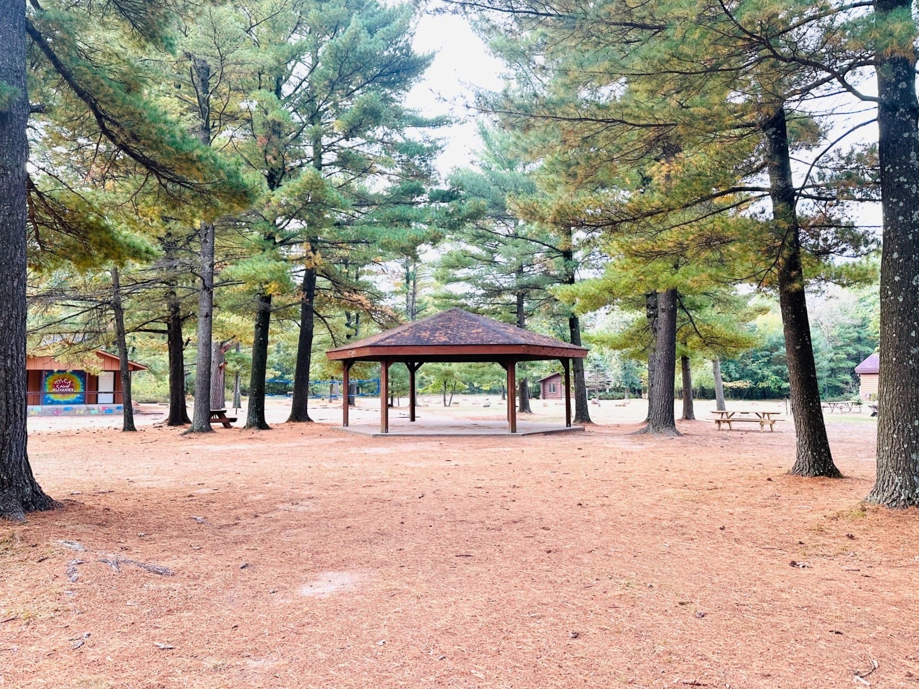 YMCA Camp Alexander - South Wood County YMCA